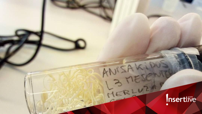 Waspada! 4 Jenis Cacing yang Ada di Ikan Ini Bisa Menginfeksi Manusia