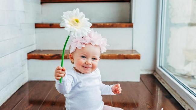 Makna Istimewa dari Setiap Jenis Bunga Berdasarkan Bulan Kelahiran