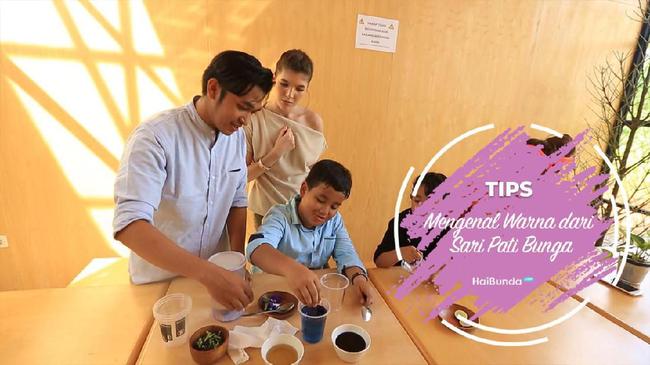 Mengenal Warna dari Sari Pati Bunga