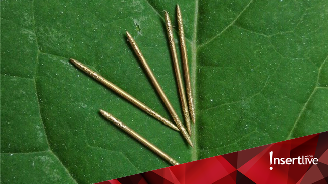 Geger, Pasutri Ribut Usai Lihat Ada Susuk di Foto Hasil Rontgen Gigi