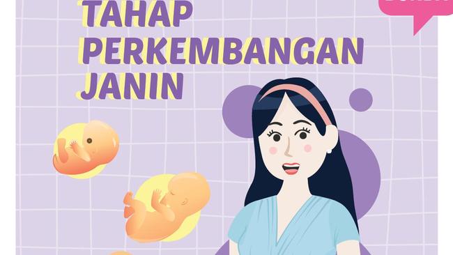 Tahap Perkembangan Janin