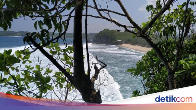 Mengenal Apa itu Bulu Perindu, Ini Pengertian, Ciri, dan Manfaatnya