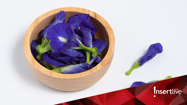 12 manfaat bunga telang bagi kesehatan menurut ahli