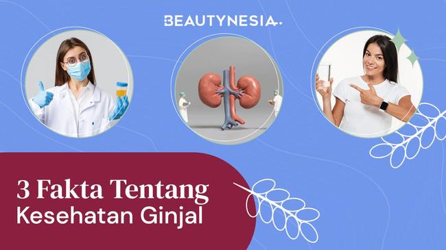 3 Fakta Penting Tentang Kesehatan Ginjal