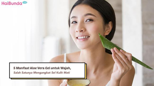5 Manfaat Aloe Vera Gel untuk Wajah, Salah Satunya Mengangkat Sel Kulit ...