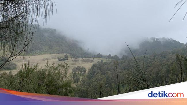 Pendakian Gunung Butak: Jalur, Daya Tarik, Tiket Masuk, dan Waktu Tempuh