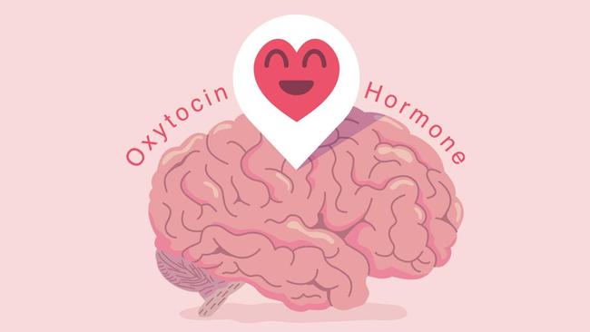 Mengenal Oksitosin, Hormon Cinta dengan Beragam Manfaat & Bentuk