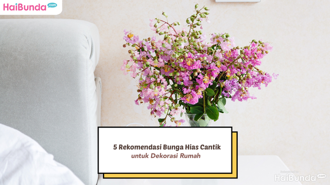 5 Rekomendasi Bunga Hias Cantik untuk Dekorasi Rumah, Pilih yang Mana?