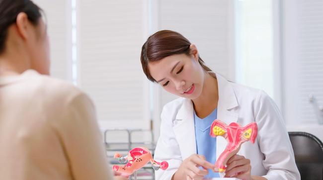 Mengenal Anatomi Organ Reproduksi Perempuan dan Fungsinya Serta Cara ...