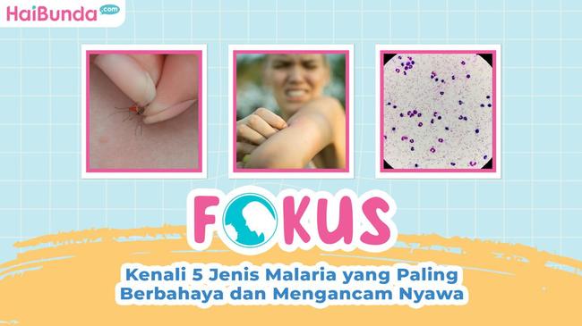Kenali 5 Jenis Malaria yang Paling Berbahaya dan Mengancam Nyawa