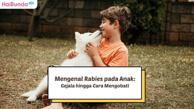 Mengenal Rabies pada Anak: Gejala hingga Cara Mengobati