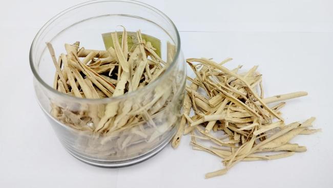 Mengenal Pulosari, Tanaman Herbal yang Bisa Atasi Demam