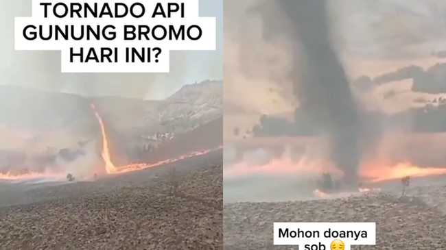 Kondisi Terkini Kebakaran di Gunung Bromo Gegara Flare Prewedding ...