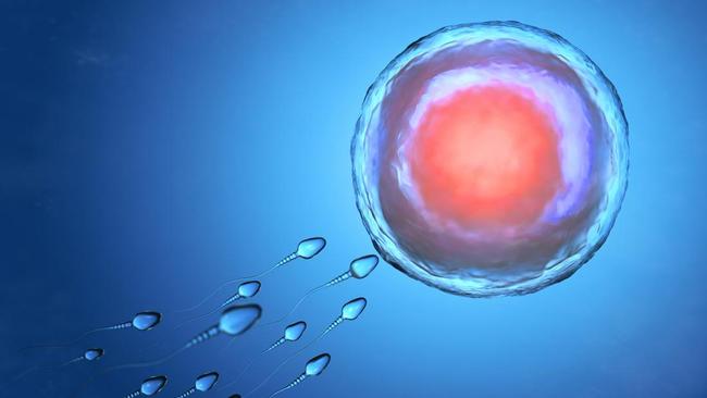 Ketahui yuk Jumlah Sel Telur di Tubuh Wanita sejak Lahir, Usia 20-an ...