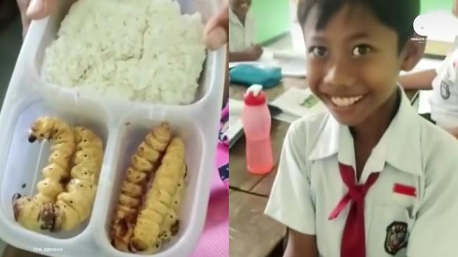 Sempat Viral di TikTok, Ternyata Ini Alasan Anak SD Bawa Bekal Ulat ...