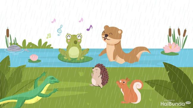 Dongeng Anak: Nyanyian Ajaib Katak Memanggil Hujan