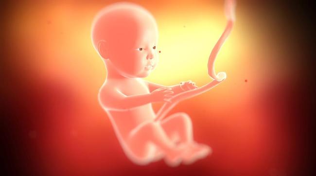 Ciri-ciri Plasenta Lepas pada Rahim Ibu Hamil dan Penanganan yang Harus ...