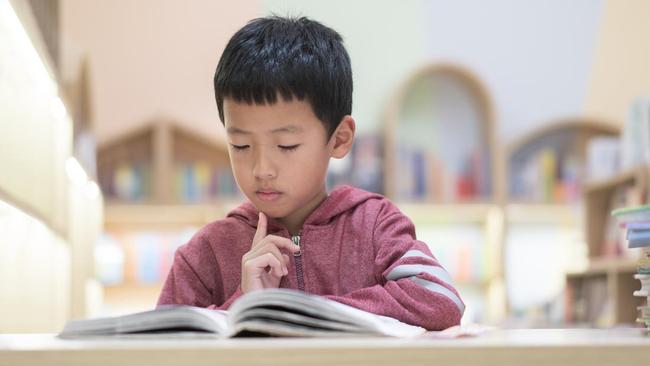 30 Contoh Soal OSN IPA SD 2024 dan Kunci Jawabannya untuk Anak Latihan ...