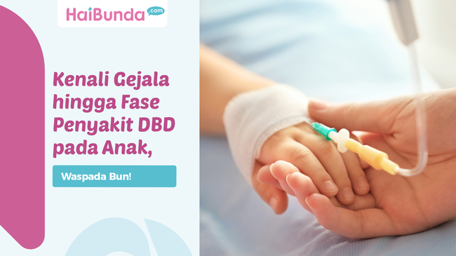 Kenali Gejala hingga Fase Penyakit DBD pada Anak, Waspada Bun!