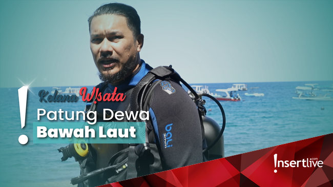 Diving di Pemuteran Buleleng Bali, Penginapannya Estetik dan Unik