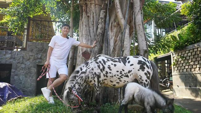 7 Potret Indahnya Aviary Irfan Hakim yang Banyak Dikunjungi Anak TK ...