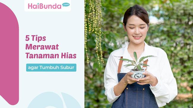 5 Tips Merawat Tanaman Hias agar Tumbuh Subur