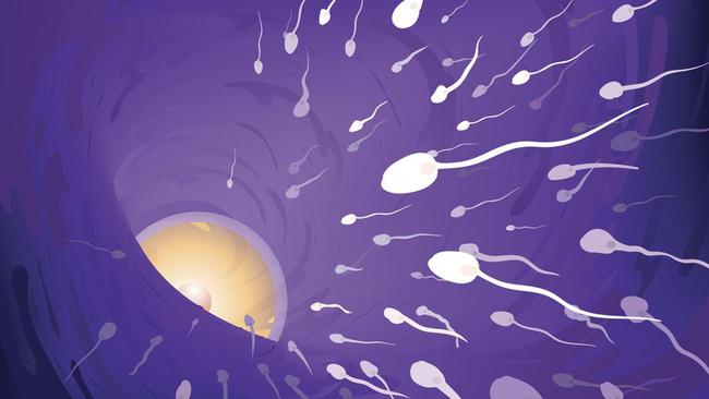 Adakah Ciri-ciri Sperma Masuk dan Tidak ke Dalam Rahim?