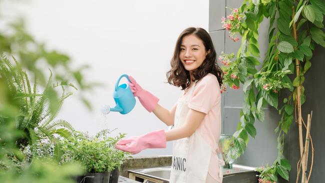 Ini Waktu yang Tepat Menyiram Tanaman Menurut Pakar, Catat Bun!