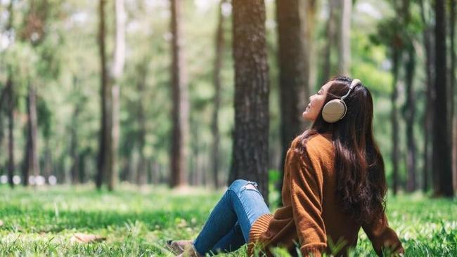 Mengenal Green Noise, Musik Alami yang Bikin Hidup Kamu Lebih Sehat