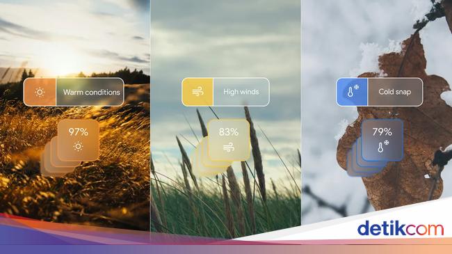 Cuaca Bali 7 Juli 2025, Semua Wilayah Bali Diprediksi Cerah Berawan