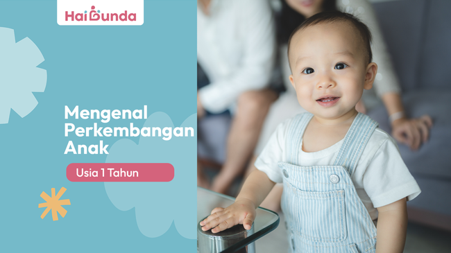 Mengenal Perkembangan Anak Usia 1 Tahun