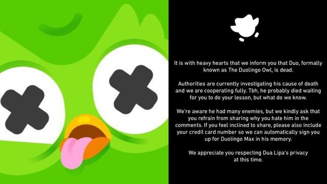 Viral di Medsos, Maskot Burung Hantu Duolingo Dinyatakan Meninggal ...