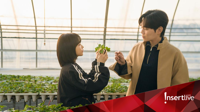 5 Drama Korea Paling Banyak Ditonton di Netflix Minggu Pertama Juli 2025