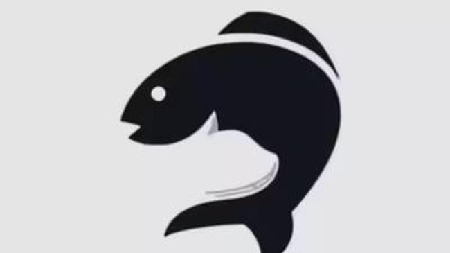 Tes Kepribadian: Gambar Ikan atau Kucing yang Pertama Kamu Lihat? Ini ... Tes Kepribadian: Gambar Ikan atau Kucing yang Pertama Kamu Lihat? Ini ...