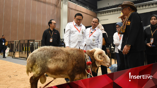 Indo Livestock 2026 Resmi Dibuka, Kontes Domba Garut Jadi Sorotan