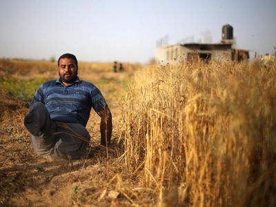 Berita Harian Jalur gaza Terbaru dan Terlengkap