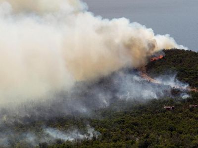 Berita Harian Kebakaran hutan amerika
