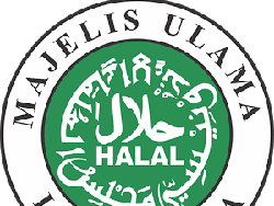 Berita dan Informasi Desain label halal Terkini dan Terbaru Hari ini ...