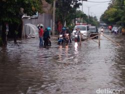 Berita dan Informasi Banjir garut Terkini dan Terbaru Hari ini - detikcom