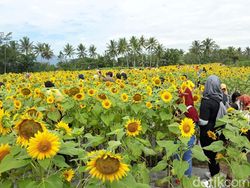 Berita Harian Wisata