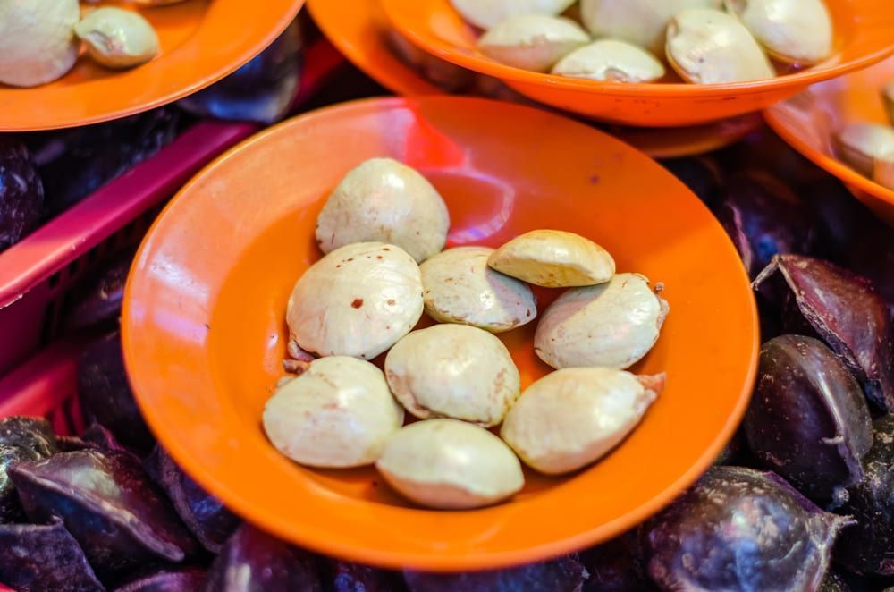 Tips Menyimpan Jengkol, Bisa Awet Satu Tahun Lho Bunda Tips Menyimpan Jengkol, Bisa Awet Satu Tahun Lho Bunda