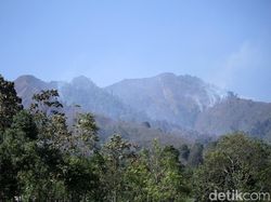 Berita dan Informasi Gunung malabar Terkini dan Terbaru Hari ini - detikcom