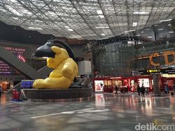 Berita dan Informasi Bandara internasional hamad doha Terkini dan ...