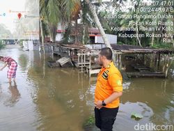 Berita dan Informasi Banjir 2019 Terkini dan Terbaru Hari ini - detikcom