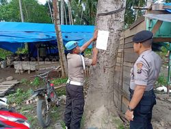 Berita dan Informasi Limbah merkuri Terkini dan Terbaru Hari ini - detikcom