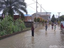 Berita dan Informasi Banjir 2019 Terkini dan Terbaru Hari ini - detikcom