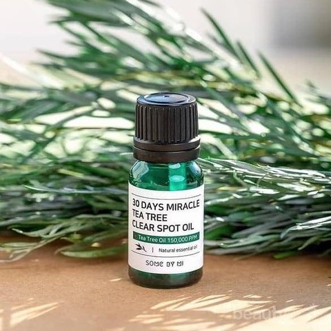 Jerawat Cepat Hilang dengan 5 Produk Tea Tree Oil Korea Ini