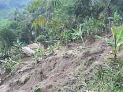 Berita dan Informasi Longsor di cianjur Terkini dan Terbaru Hari ini - detikcom