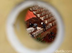 Berita dan Informasi Longsor Terkini dan Terbaru Hari ini - detikcom