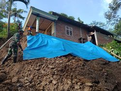 Berita dan Informasi Plengsengan Terkini dan Terbaru Hari ini - detikcom